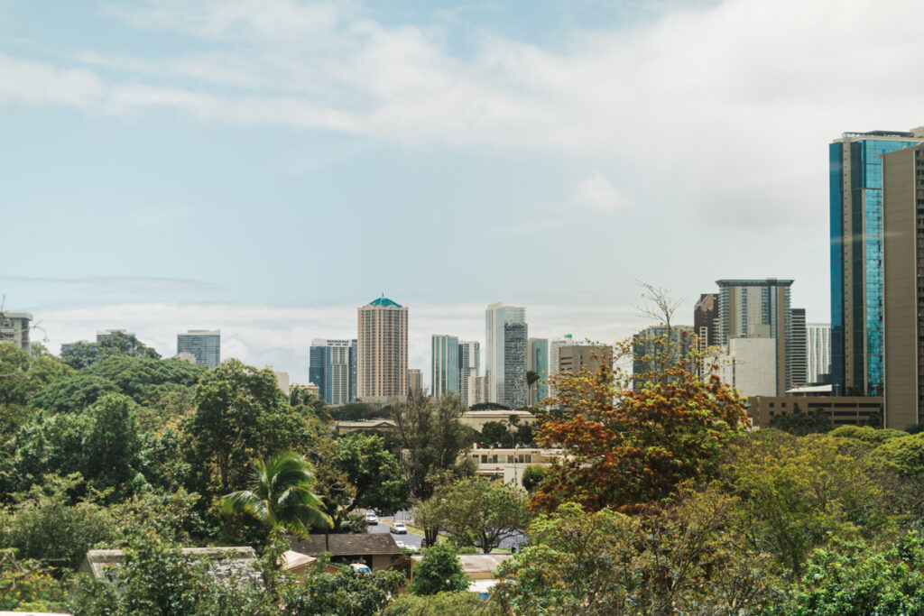 ALICE Initiative | Aloha United Way